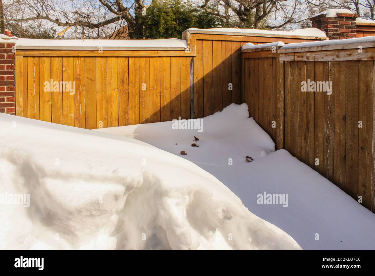Deep snowdrift against corner of wooden privacy fence with trees in the ...