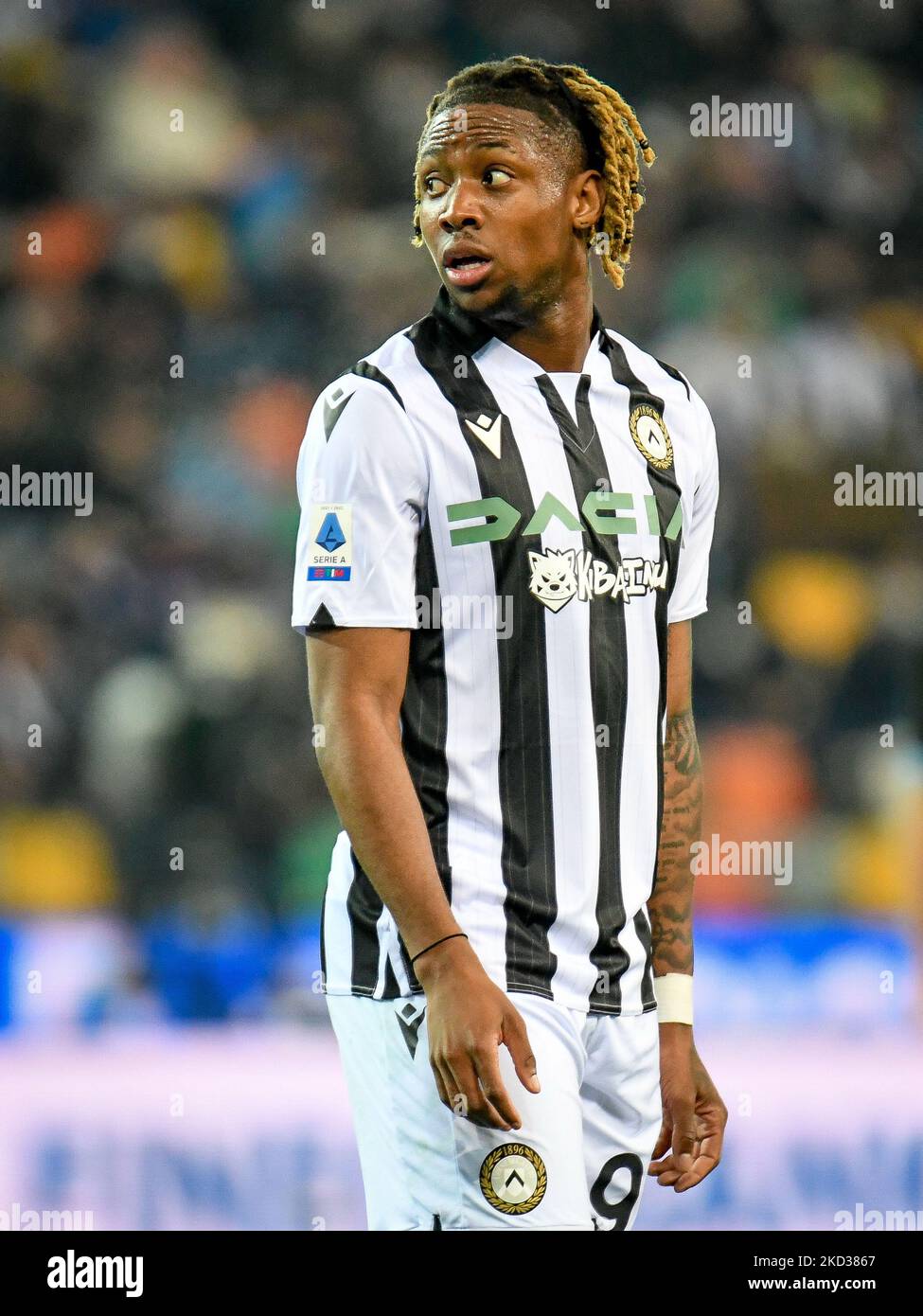 Brandon soppy portrait hi-res stock photography and images - Alamy