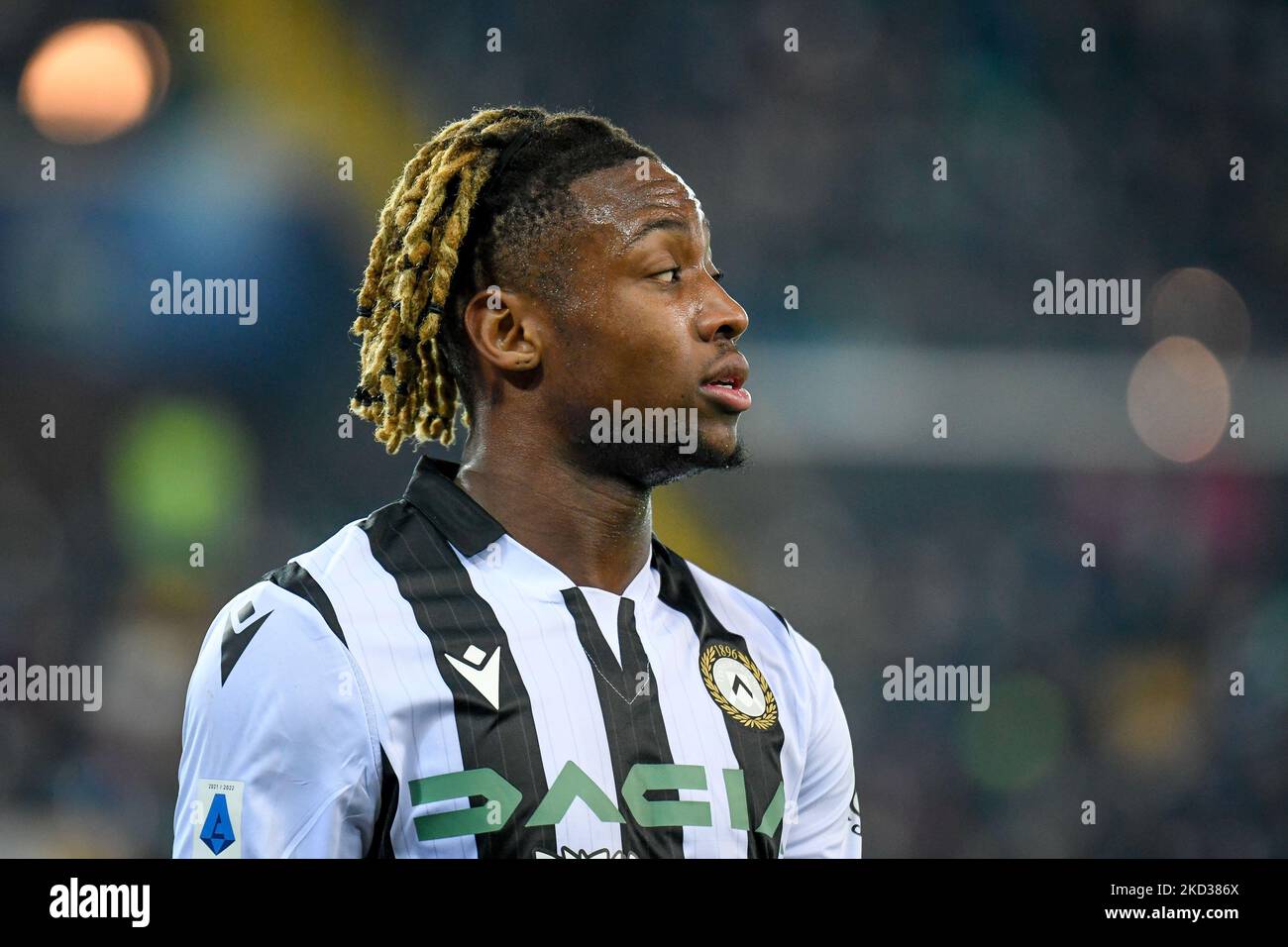 Brandon soppy portrait hi-res stock photography and images - Alamy