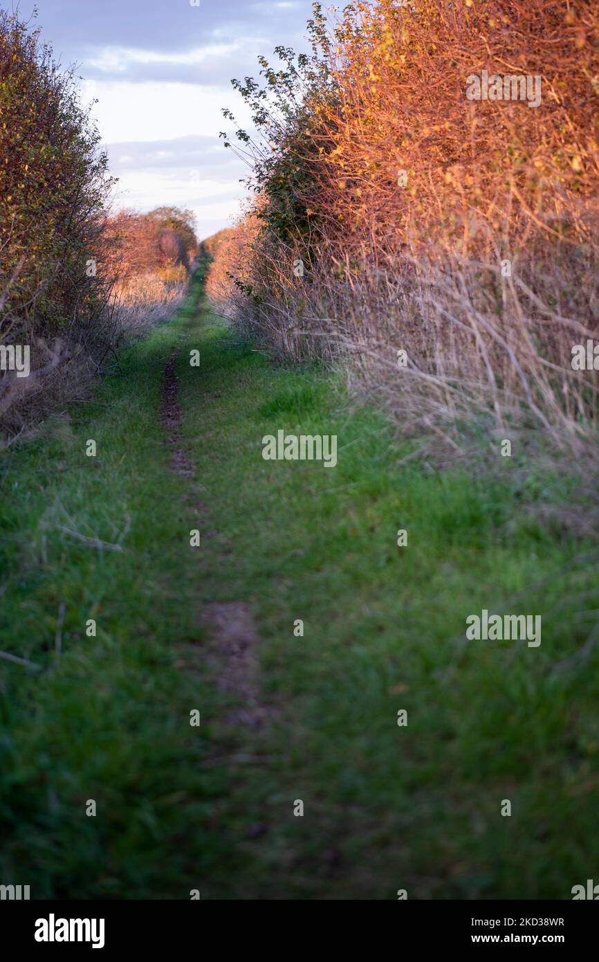 Out lane hi-res stock photography and images - Alamy