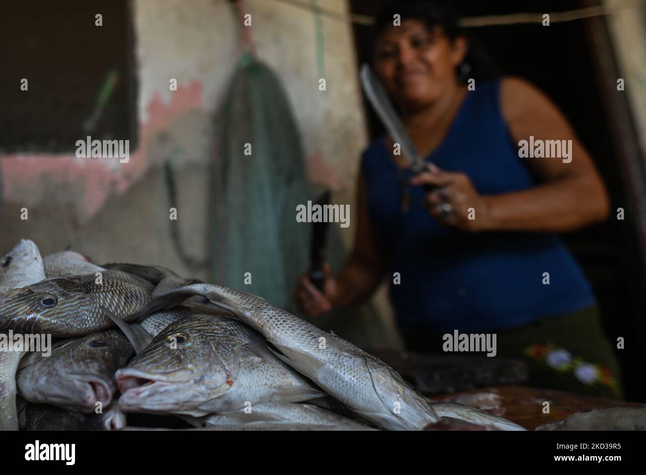 Mexico celestun fish hi-res stock photography and images - Alamy