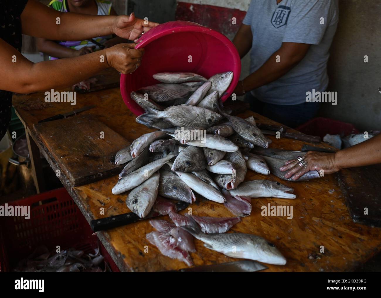 Mexico celestun fish hi-res stock photography and images - Alamy
