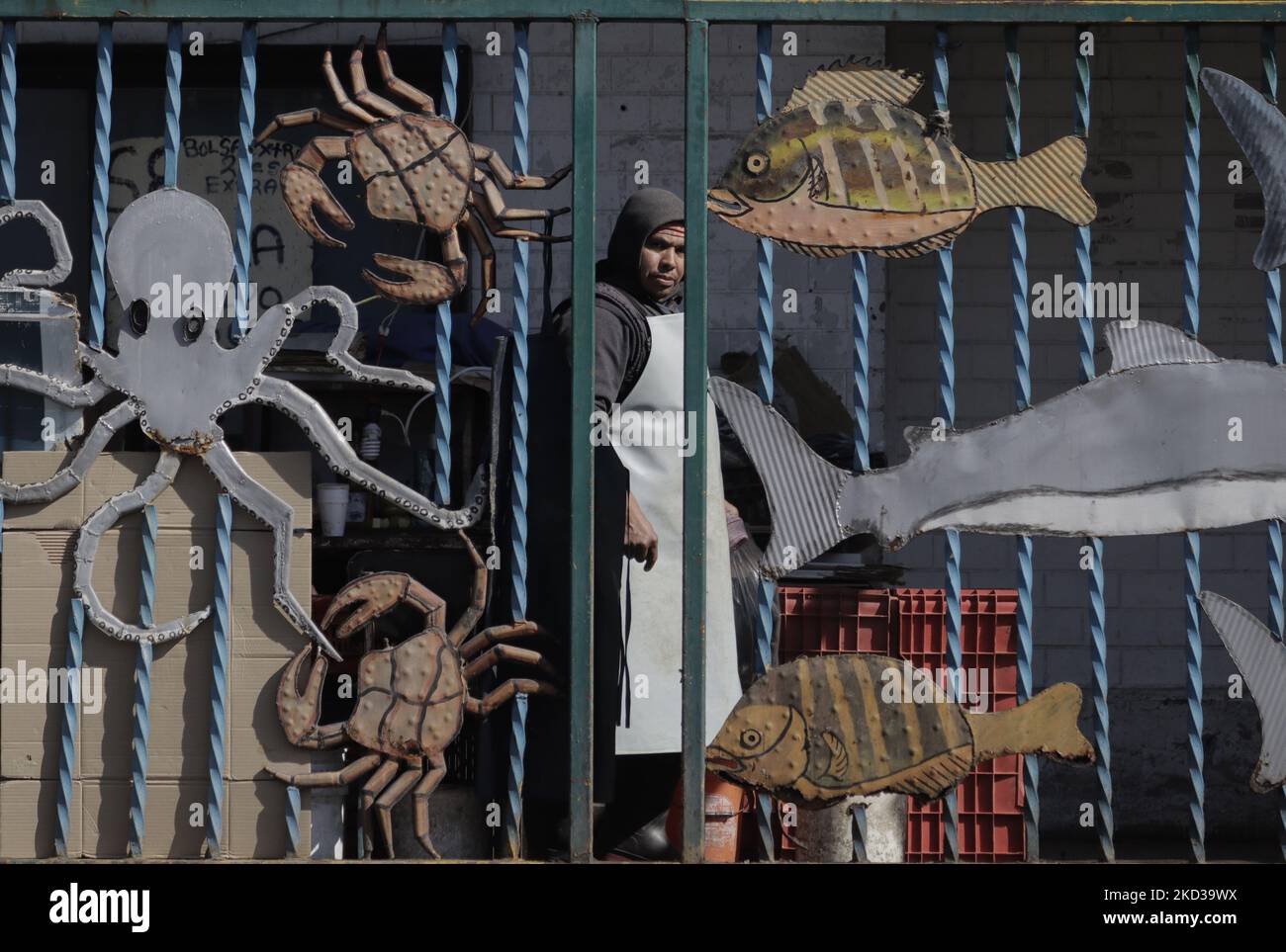 Verify and monitor the sale of fish and seafood hi-res stock ...