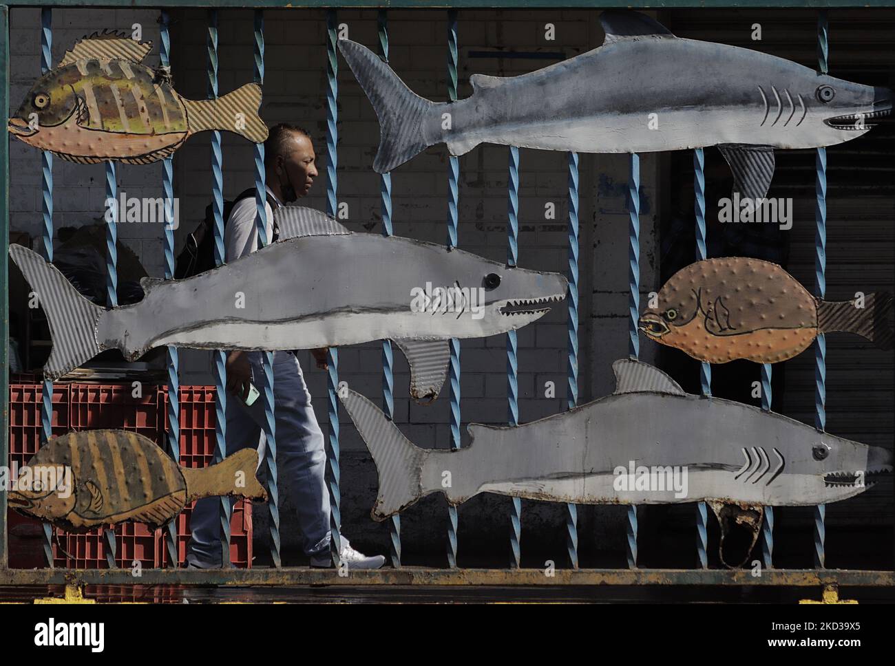 Verify and monitor the sale of fish and seafood hi-res stock ...