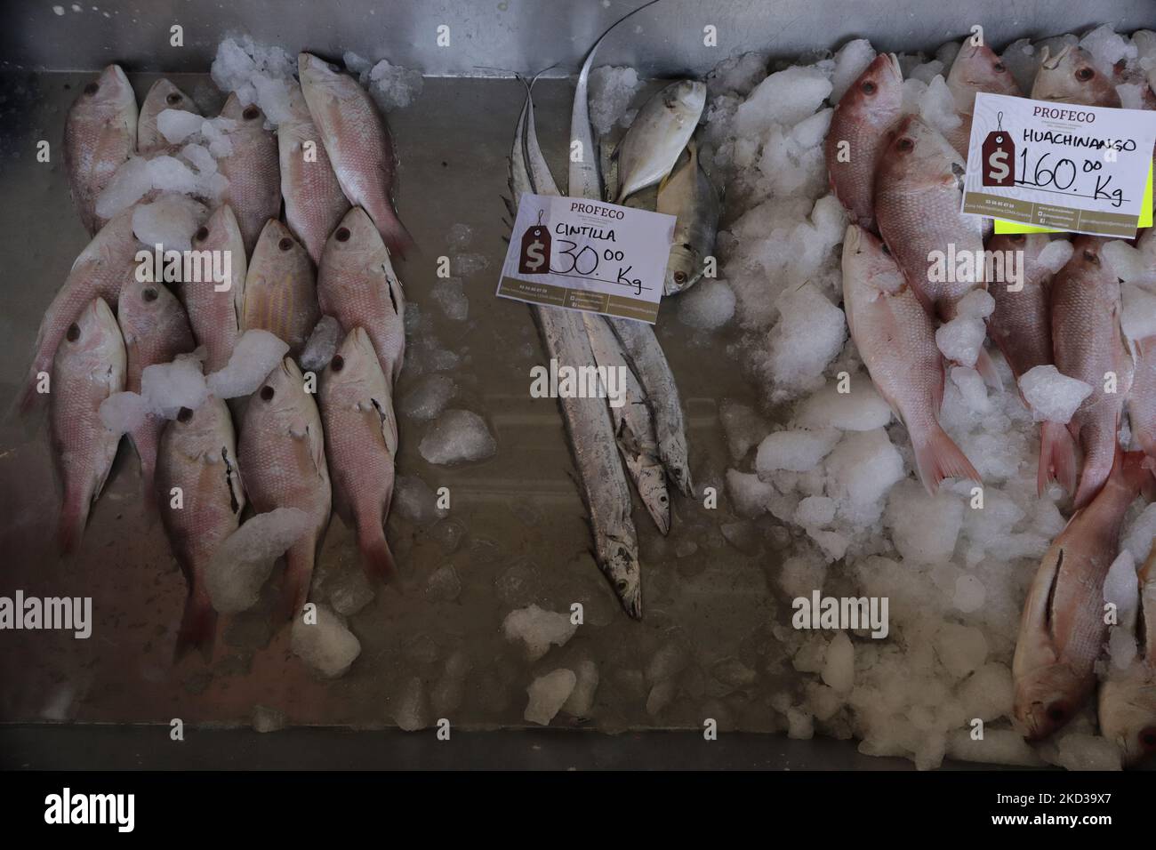 Verify and monitor the sale of fish and seafood hi-res stock ...