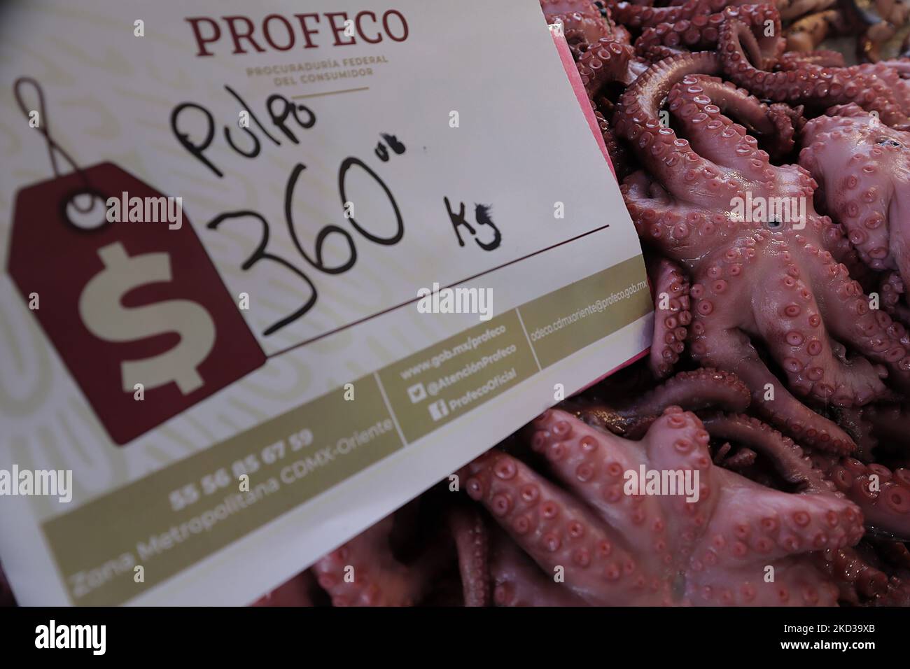 Octopus for sale inside the Nueva Viga Market located in Iztapalapa ...