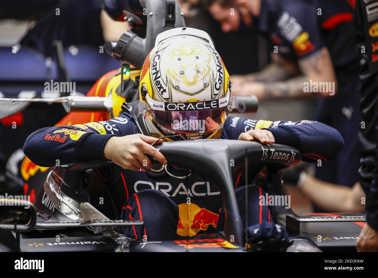 Max Verstappen, Oracle Red Bull Racing, portrait during the Formula 1 ...