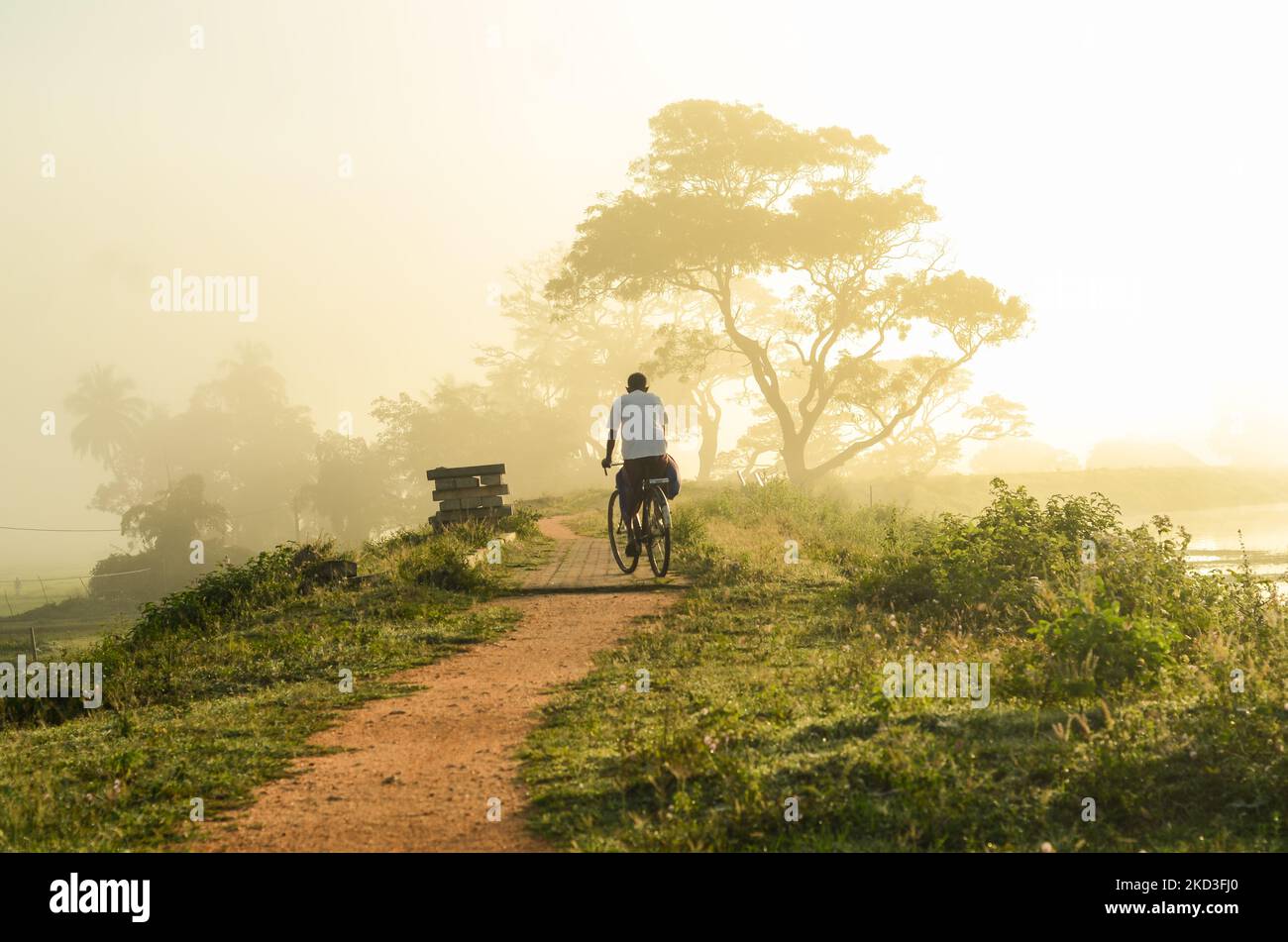 A man riding bicycle on a path in natural area with mist Stock Photo ...
