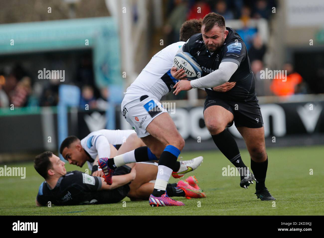 George mcguigan of newcastle falcons hi-res stock photography and ...