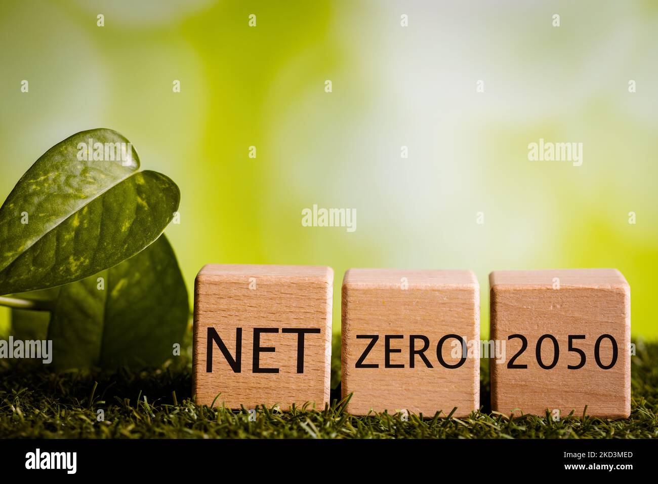 Net zero 2050, Environmental concept, A modern and bold plan to reduce ...