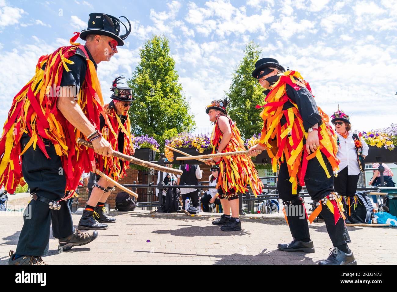 Traditional folk Morris dancers, Ragged Phoenix Morris side, dancing in ...