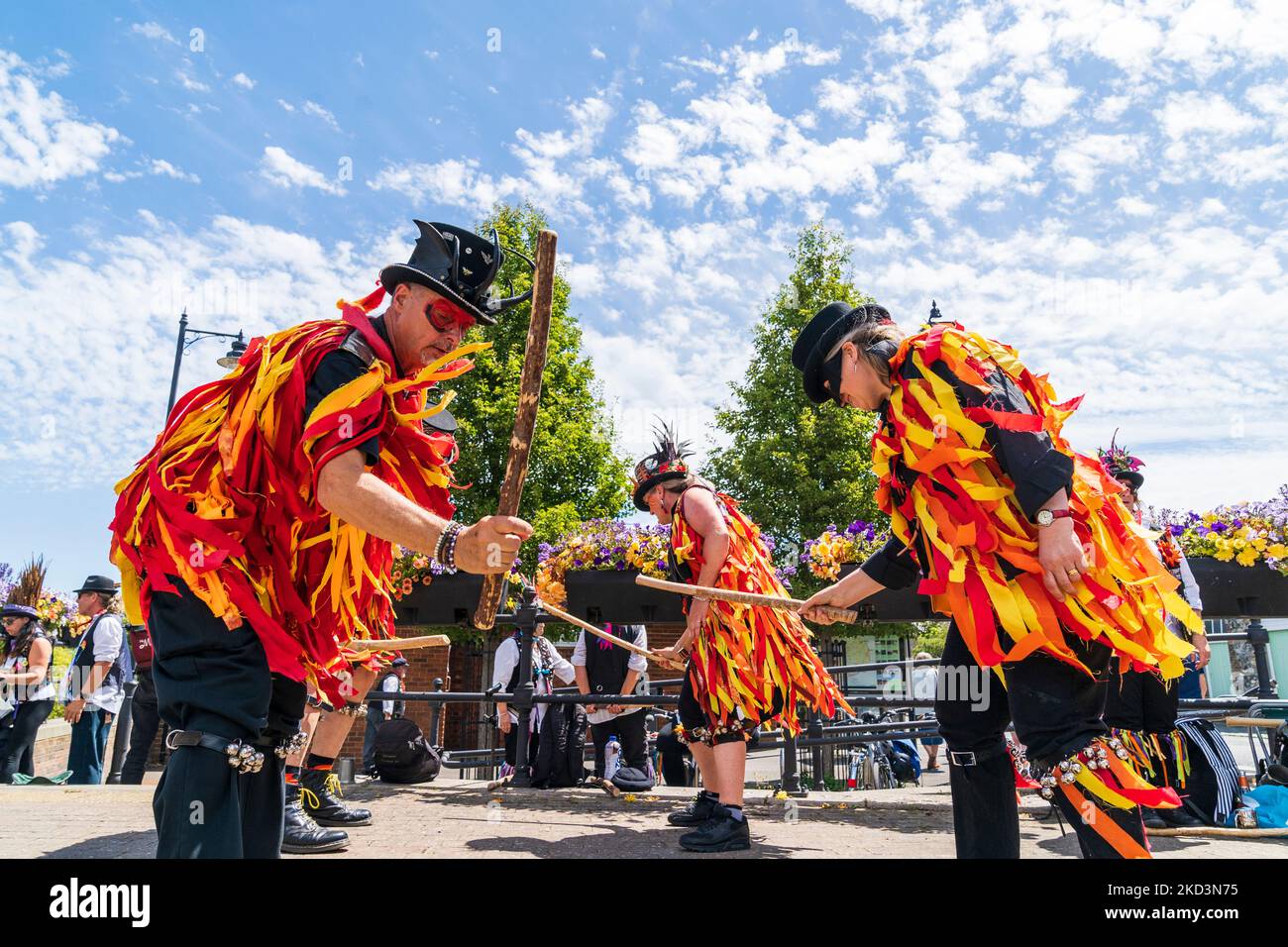 Traditional folk Morris dancers, Ragged Phoenix Morris side, dancing in ...