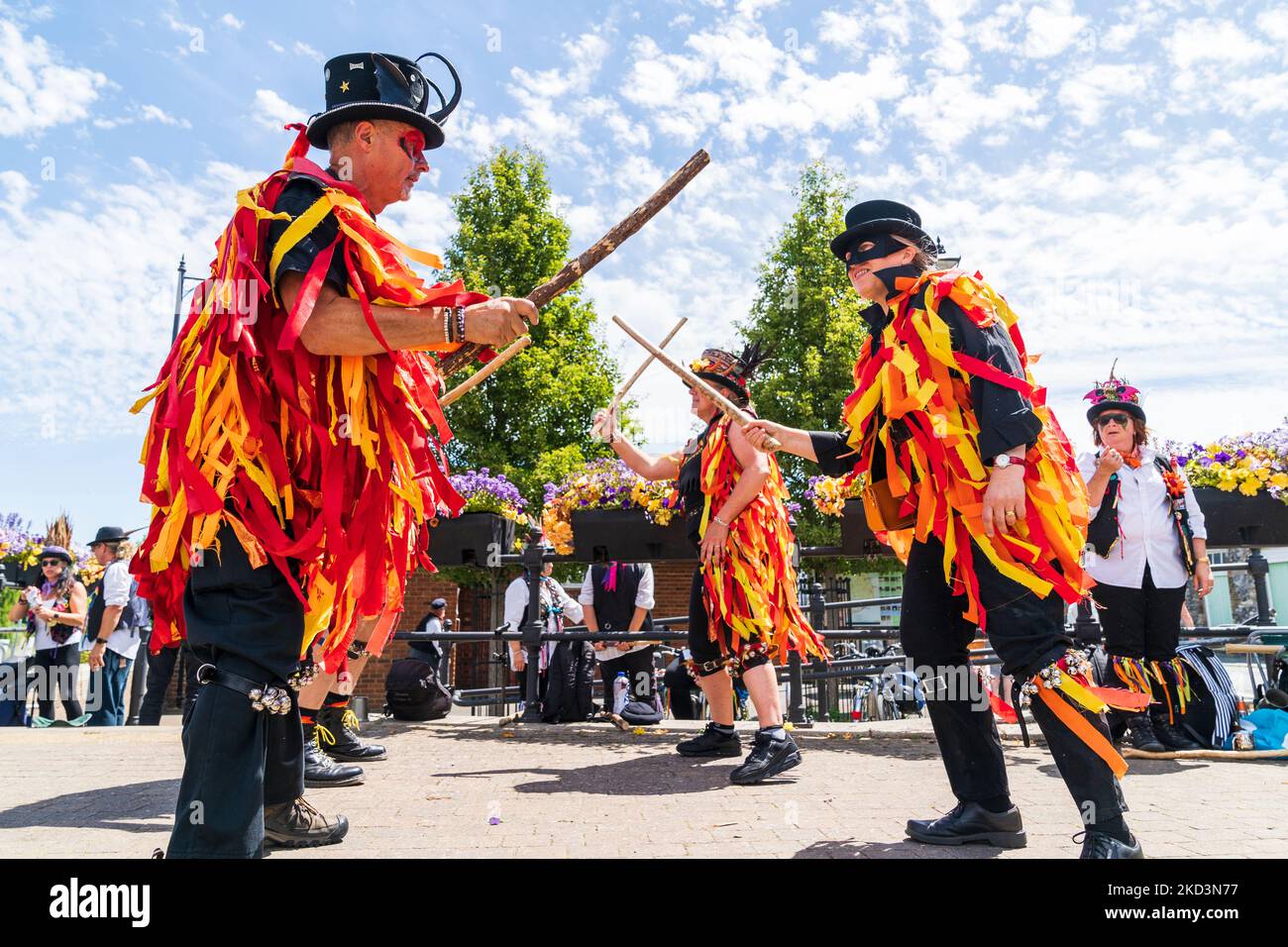 Traditional folk Morris dancers, Ragged Phoenix Morris side, dancing in ...