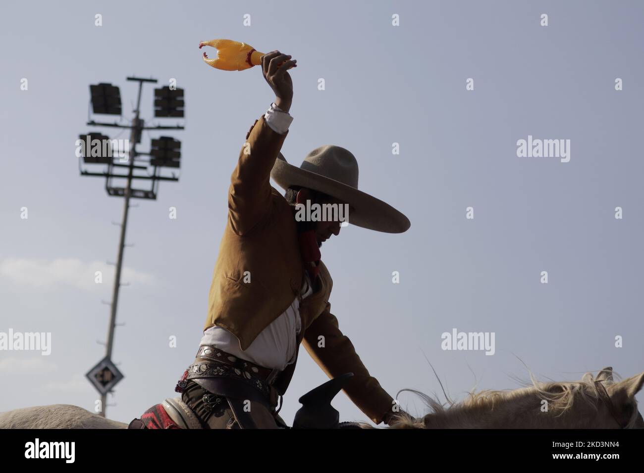 A charro performs the exhibition of the galen at the Hipódromo de Las ...