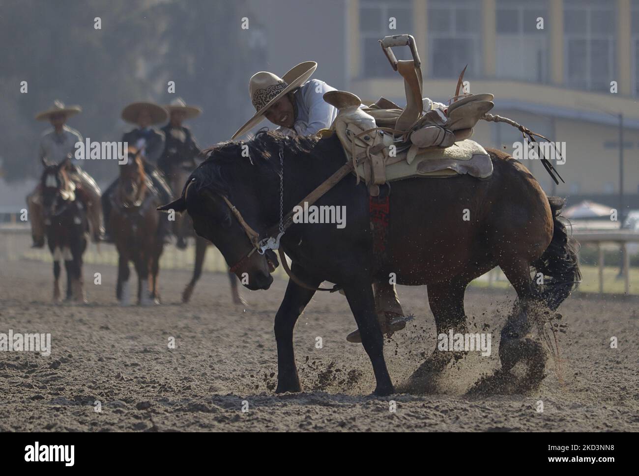 A charro performs the exhibition of the galen at the Hipódromo de Las ...