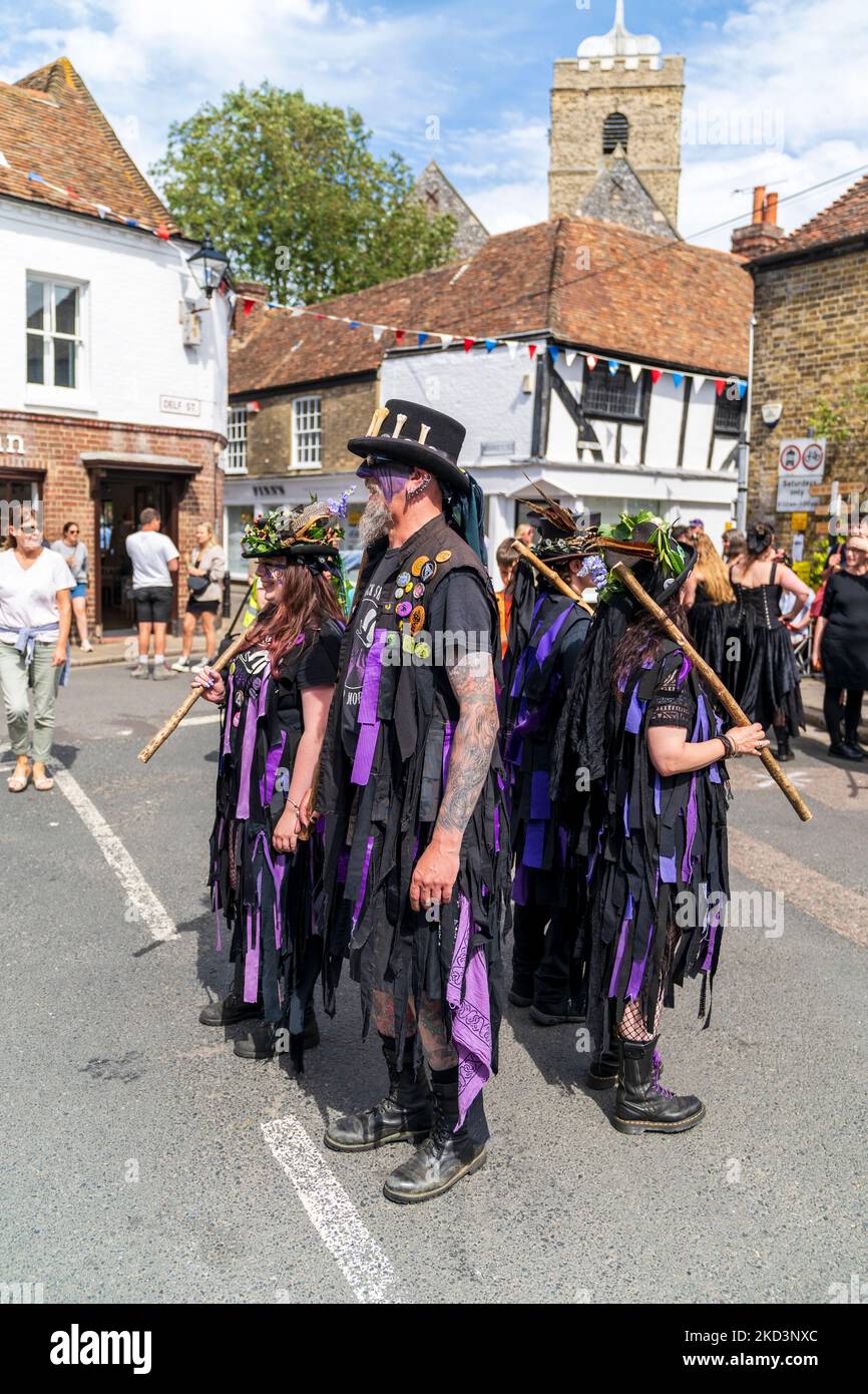 Black swan border morris hi-res stock photography and images - Alamy