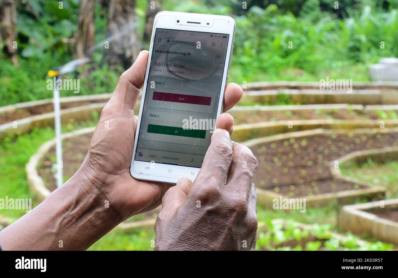 A farmer using a agricultural technology App on his smartphone during ...