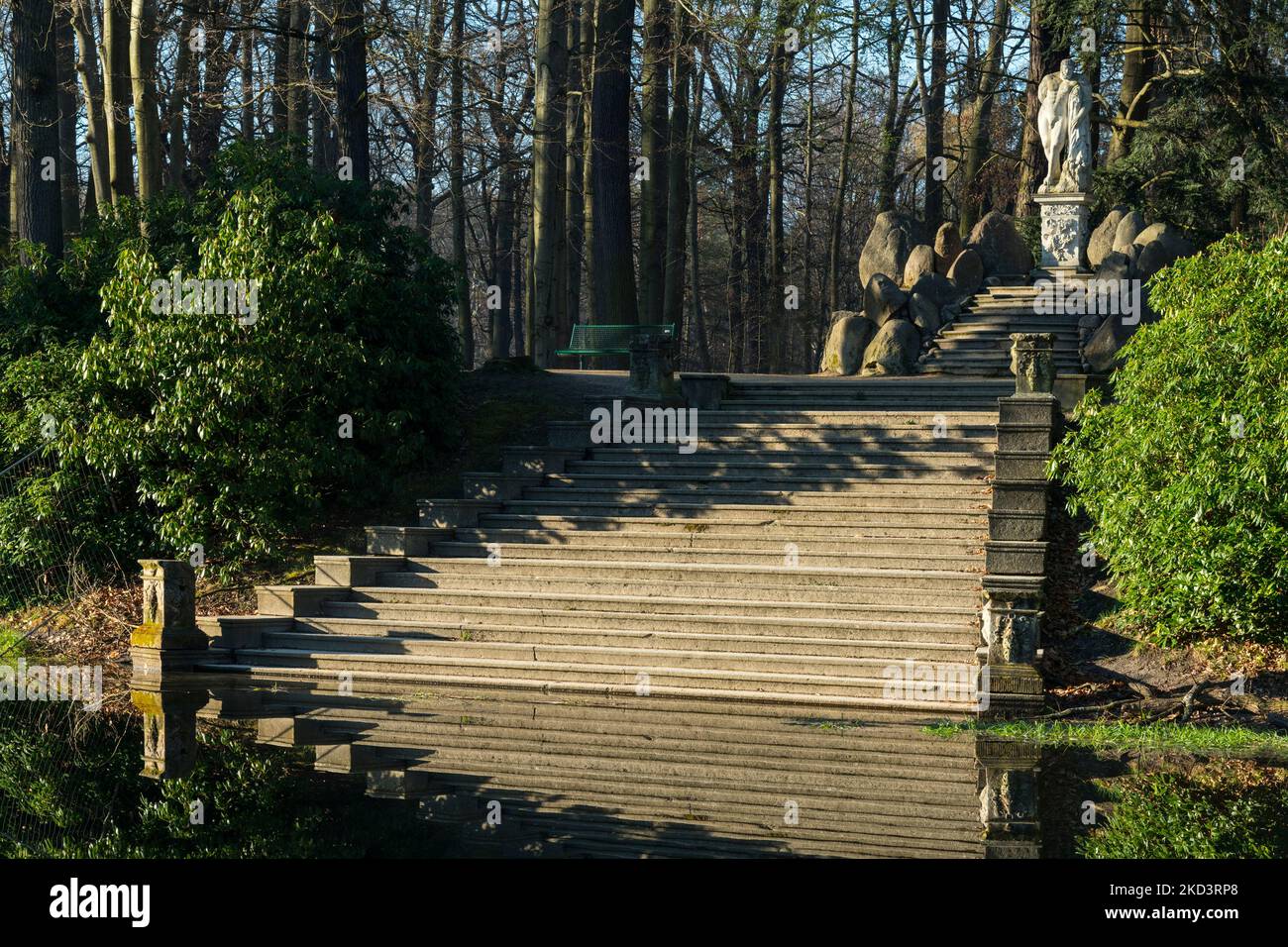 Kromlau rhododendron park, Germany Stock Photo - Alamy