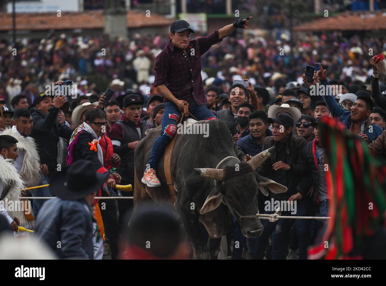 A scene of bull running through the streets of San Juan Chamula on the ...