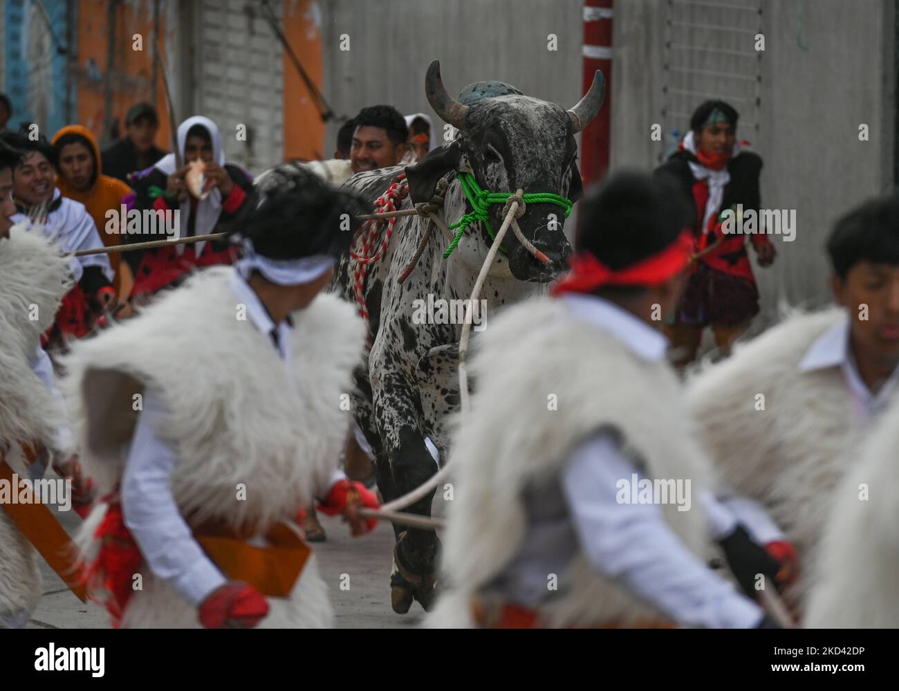 Kin jimultik hi-res stock photography and images - Alamy