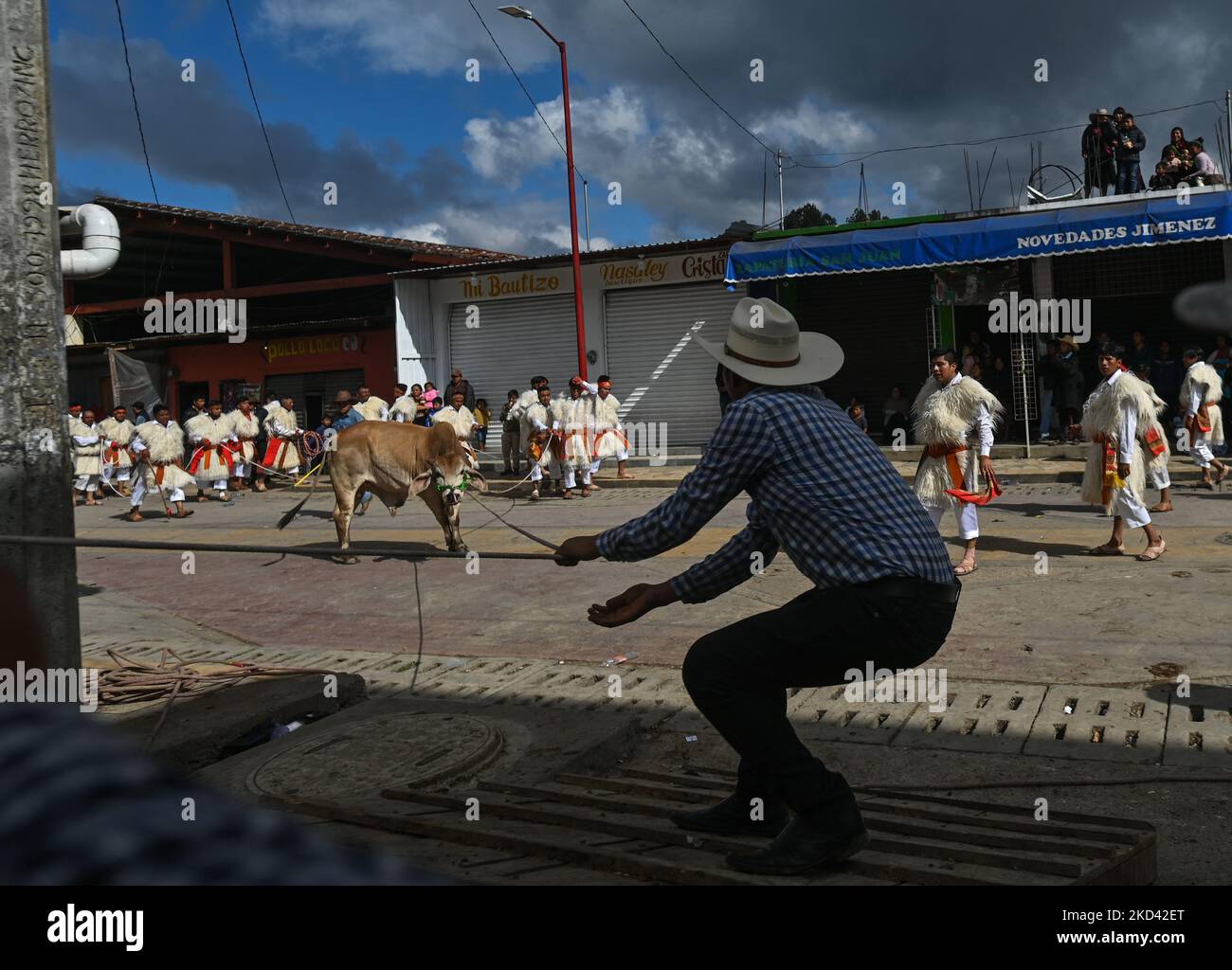 A scene of bull running through the streets of San Juan Chamula on the ...
