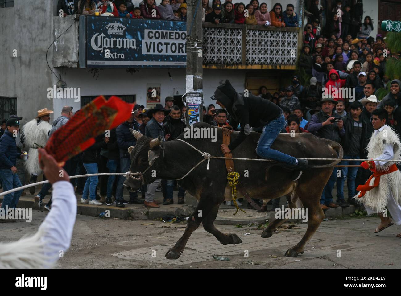 A scene of bull running through the streets of San Juan Chamula on the ...
