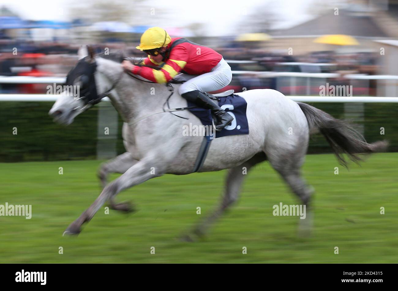 Alec voikhansky hi-res stock photography and images - Alamy