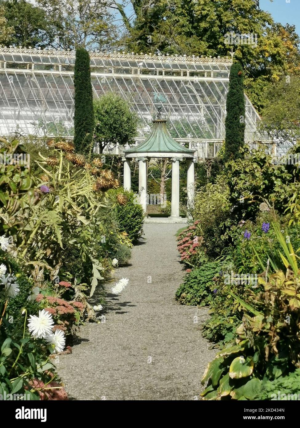 A vertical shot of a trail surrounded with flowers leading to a ...
