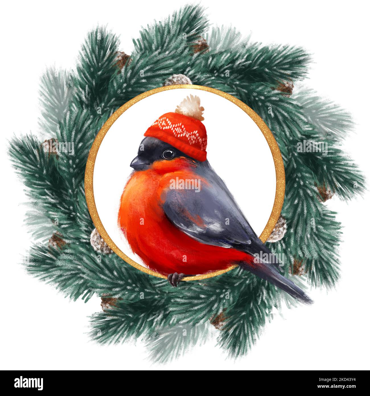 Bullfinch bird fir tree Cut Out Stock Images & Pictures - Alamy