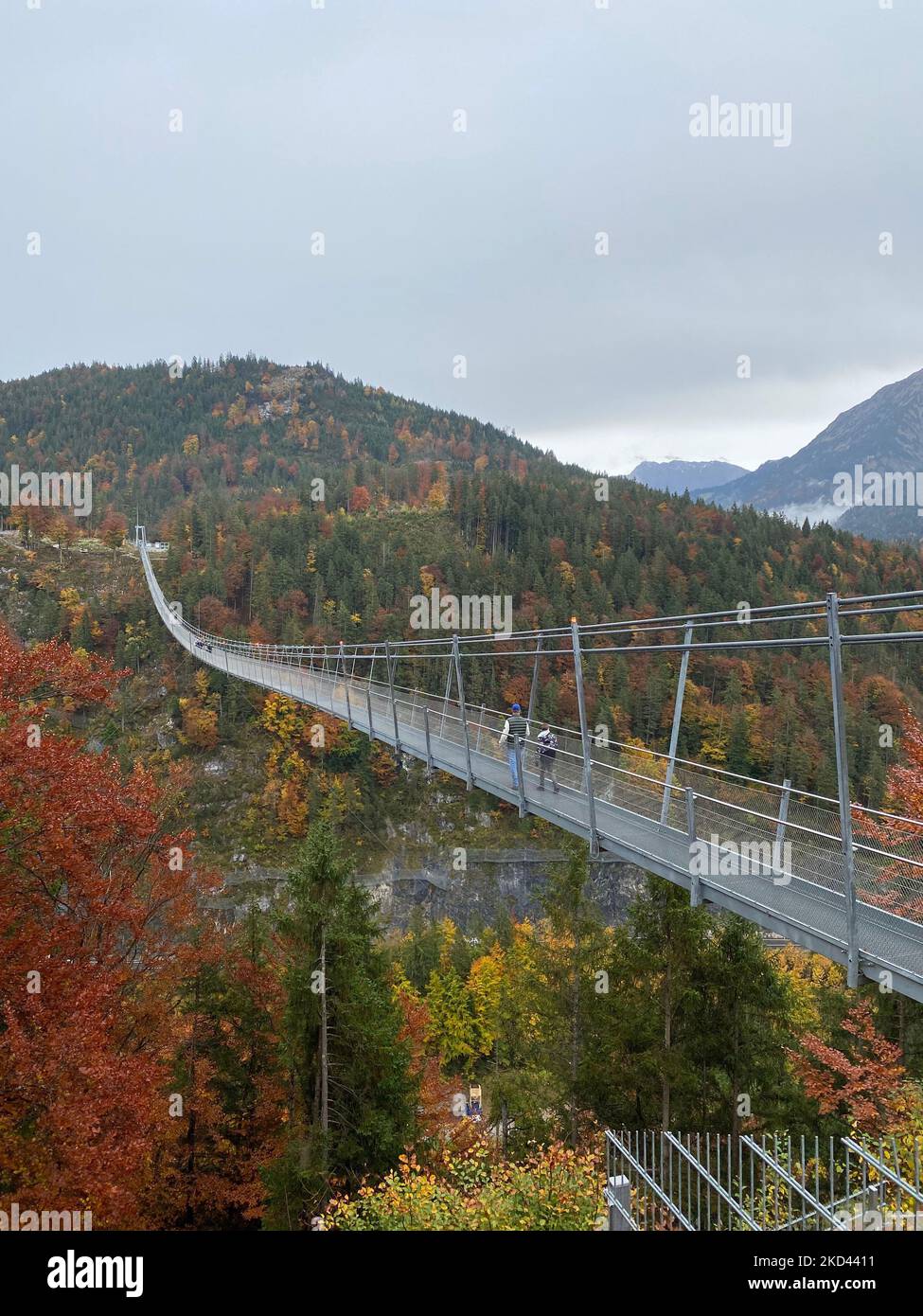 A vertical shot of people walking on the Highline 179 suspension bridge ...