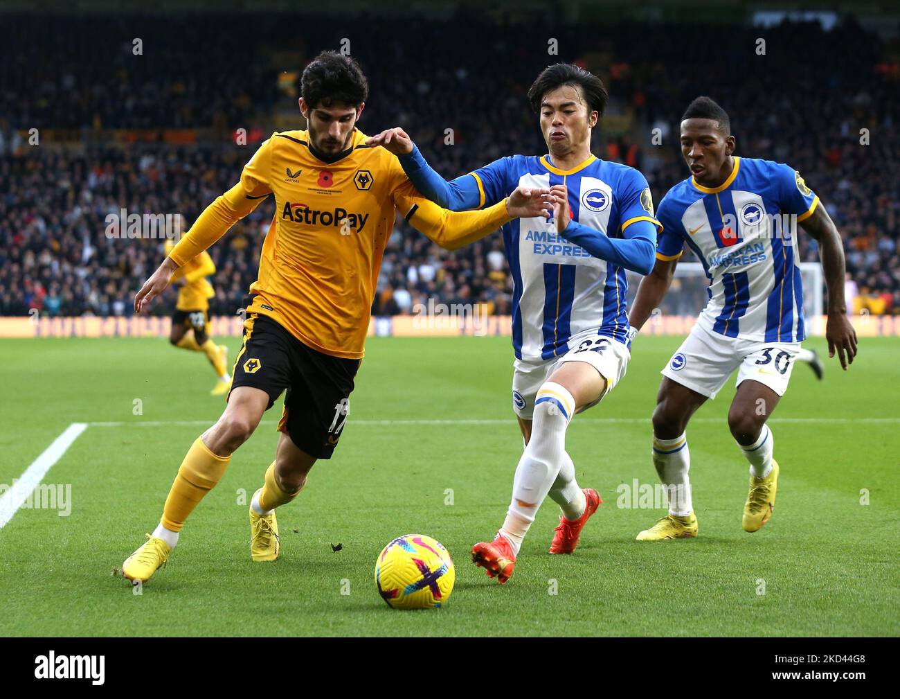 Wolverhampton Wanderers's Manuel Goncalo Guedes (left) and Brighton and ...