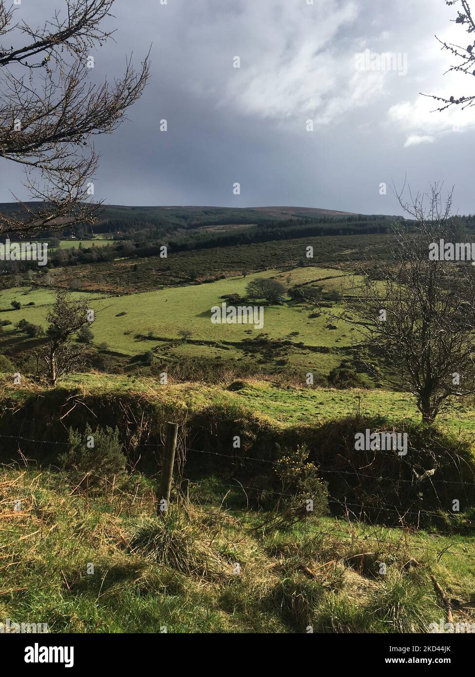 A vertical shot of green meadow in front of a cloudy sky on a sunny day ...