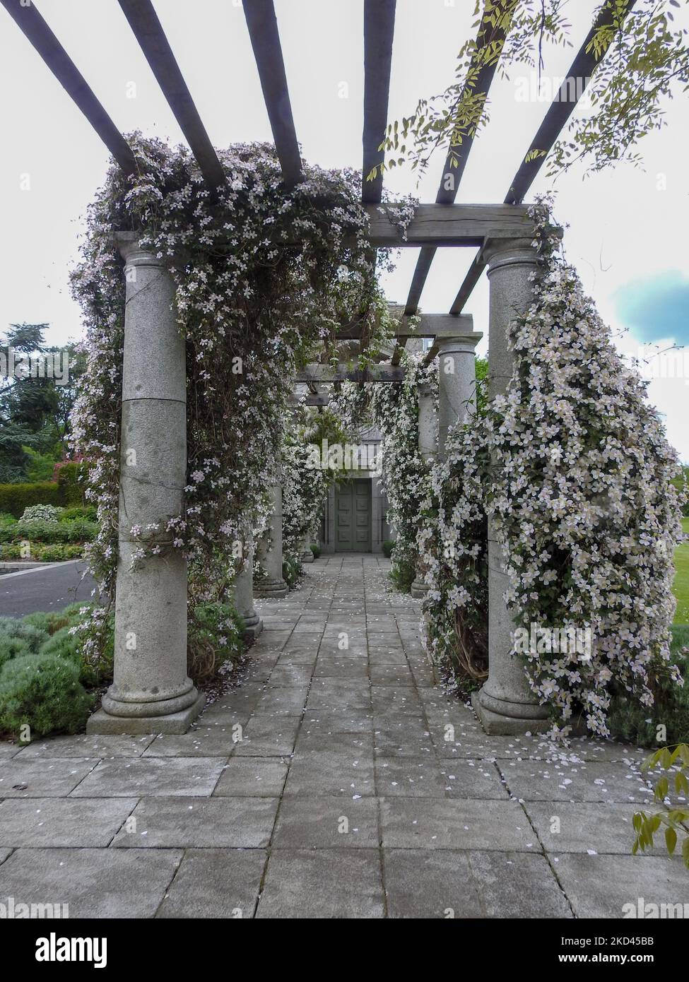 A vertical shot of beautiful flowers hanging on columns, Hill Garden ...