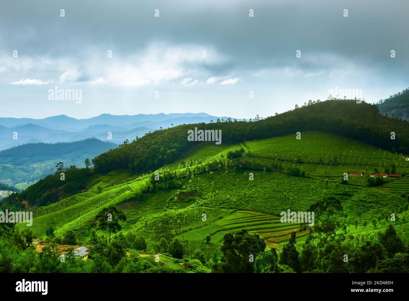 Kebun teh kemuning hi-res stock photography and images - Alamy