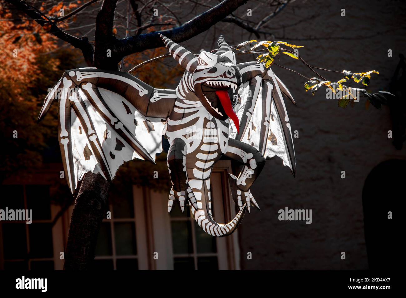 Skeleton Demon Dragon blowup Halloween yard art - hanging from tree ...