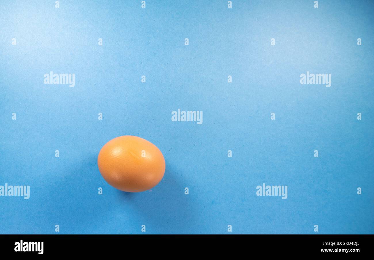 a single brown hens egg isolated on a dark blue background Stock Photo ...