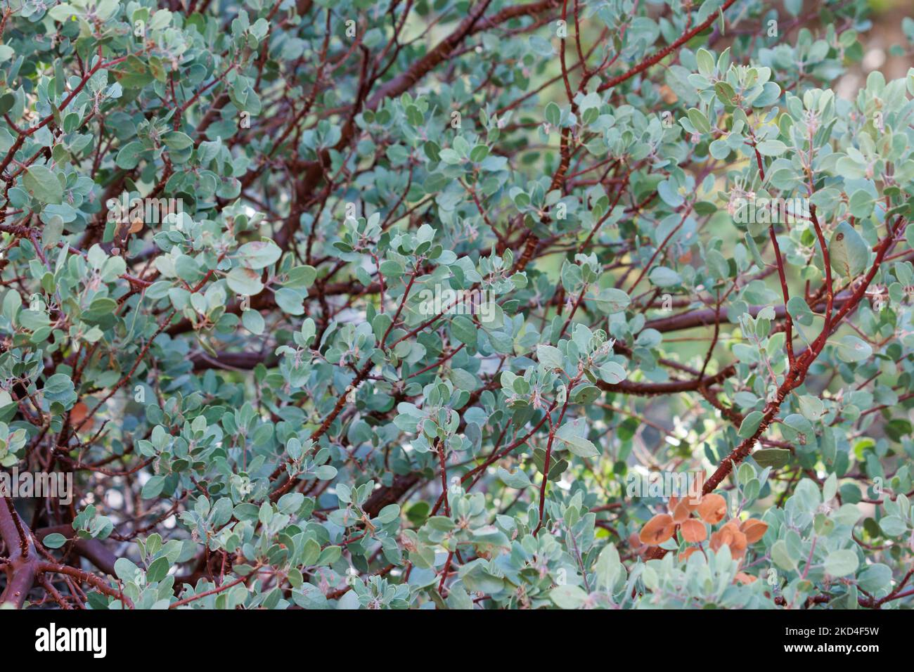 Grateful admiration hi-res stock photography and images - Alamy