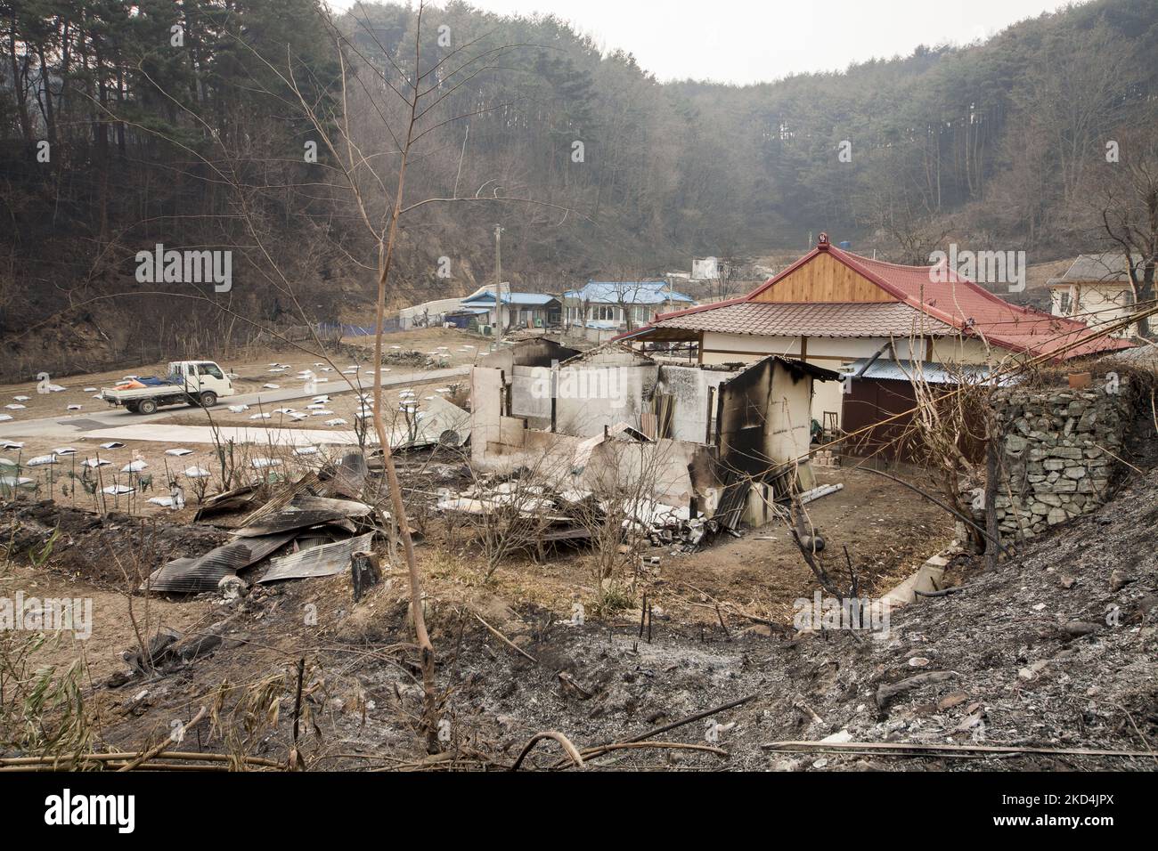 A wildfire burns in the eastern city of Uljin. The fire started in the ...