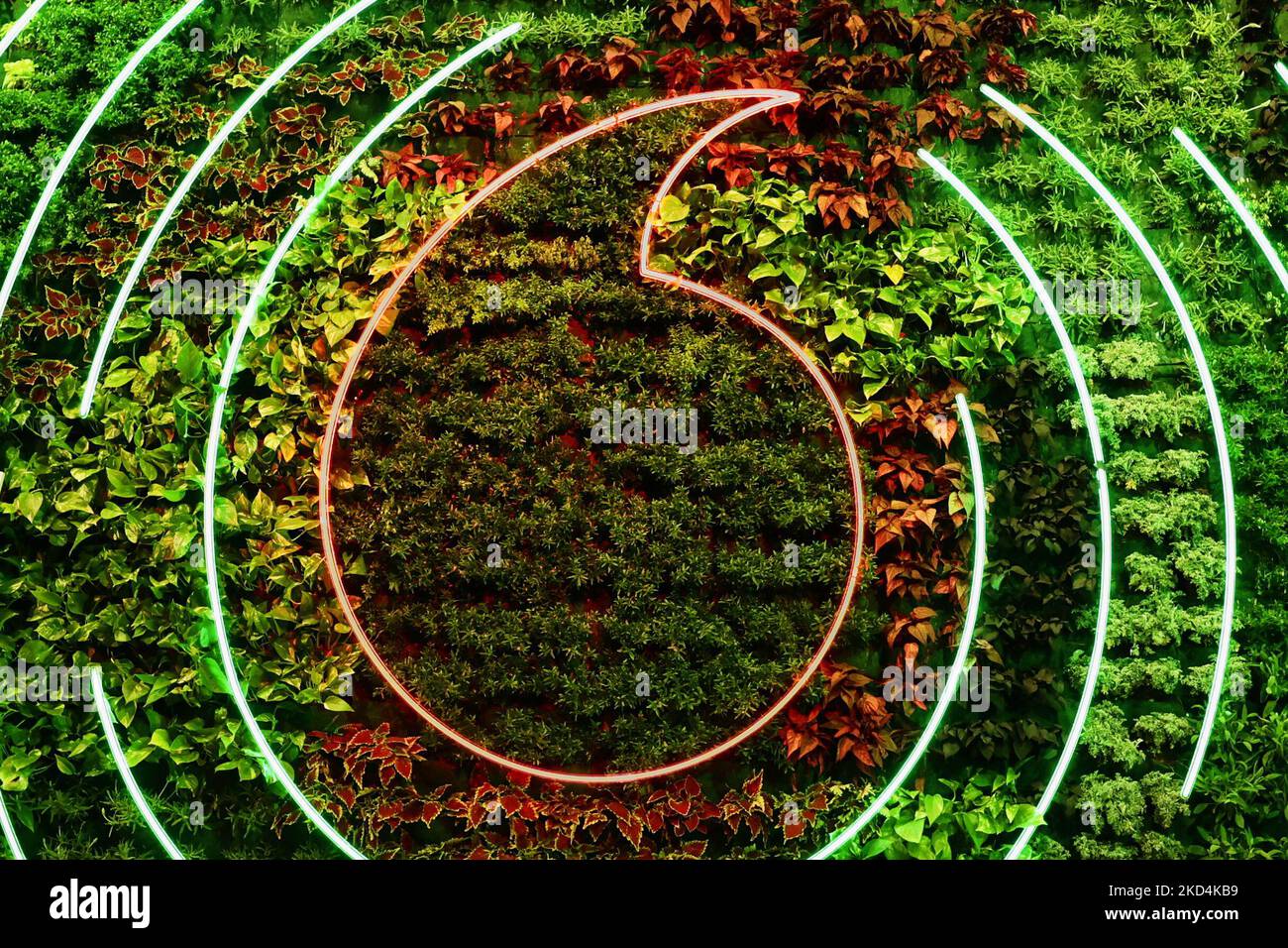 Vodfone logo hi-res stock photography and images - Alamy