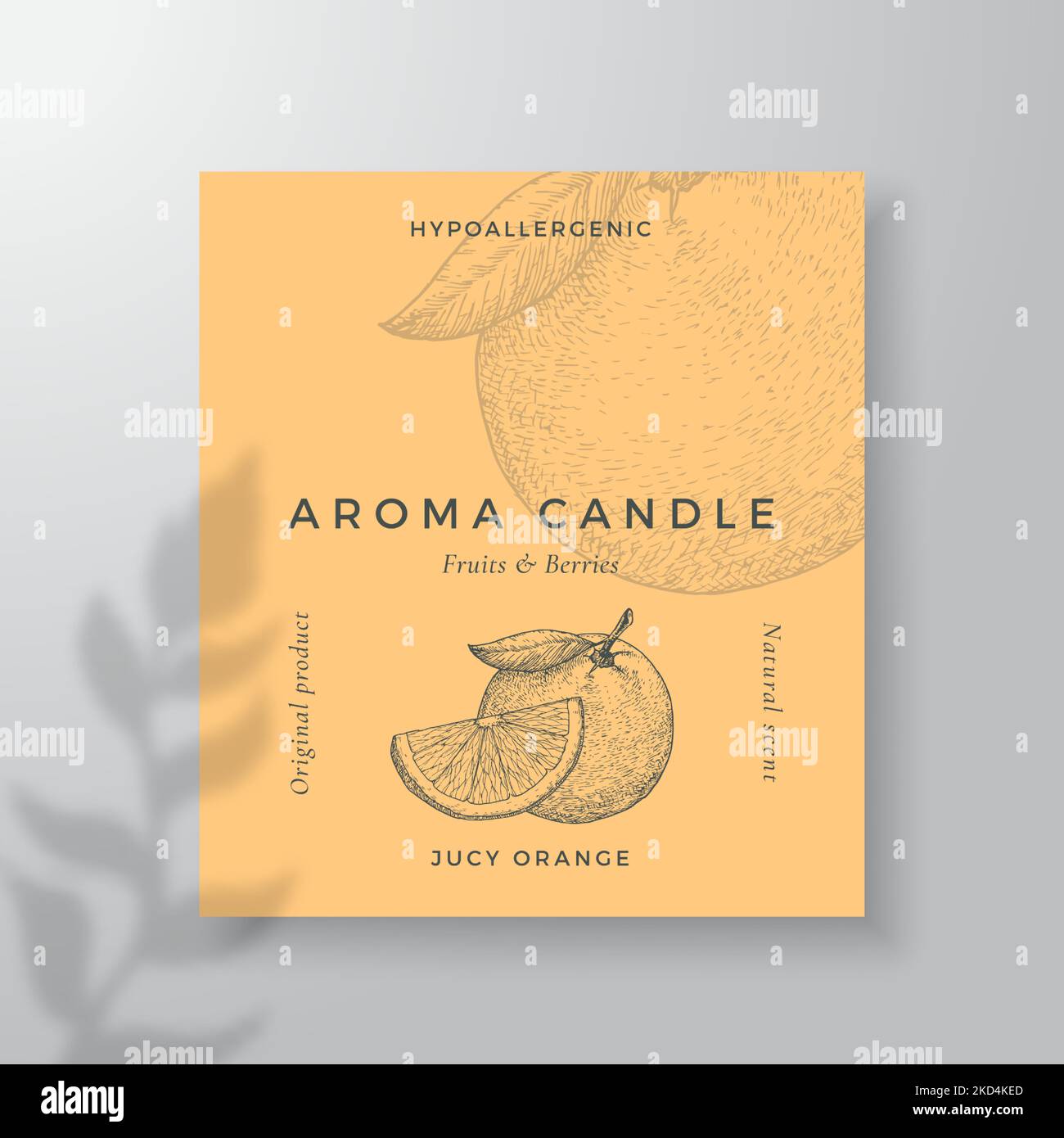 Aroma candle vector label template. Orange citrus scent from local ...