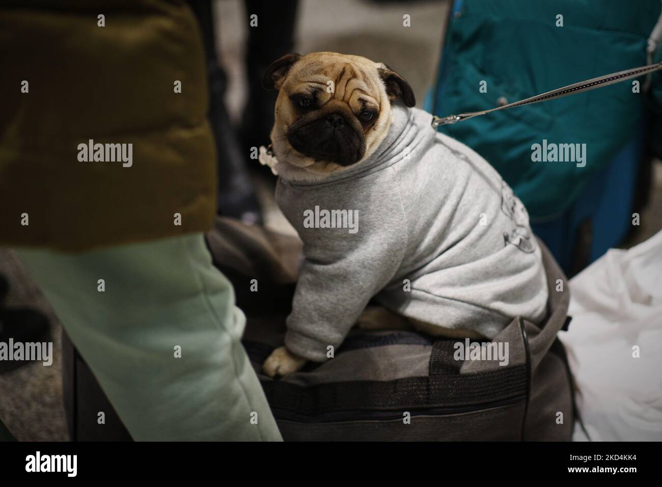 Individual citizens pressures hi-res stock photography and images - Alamy