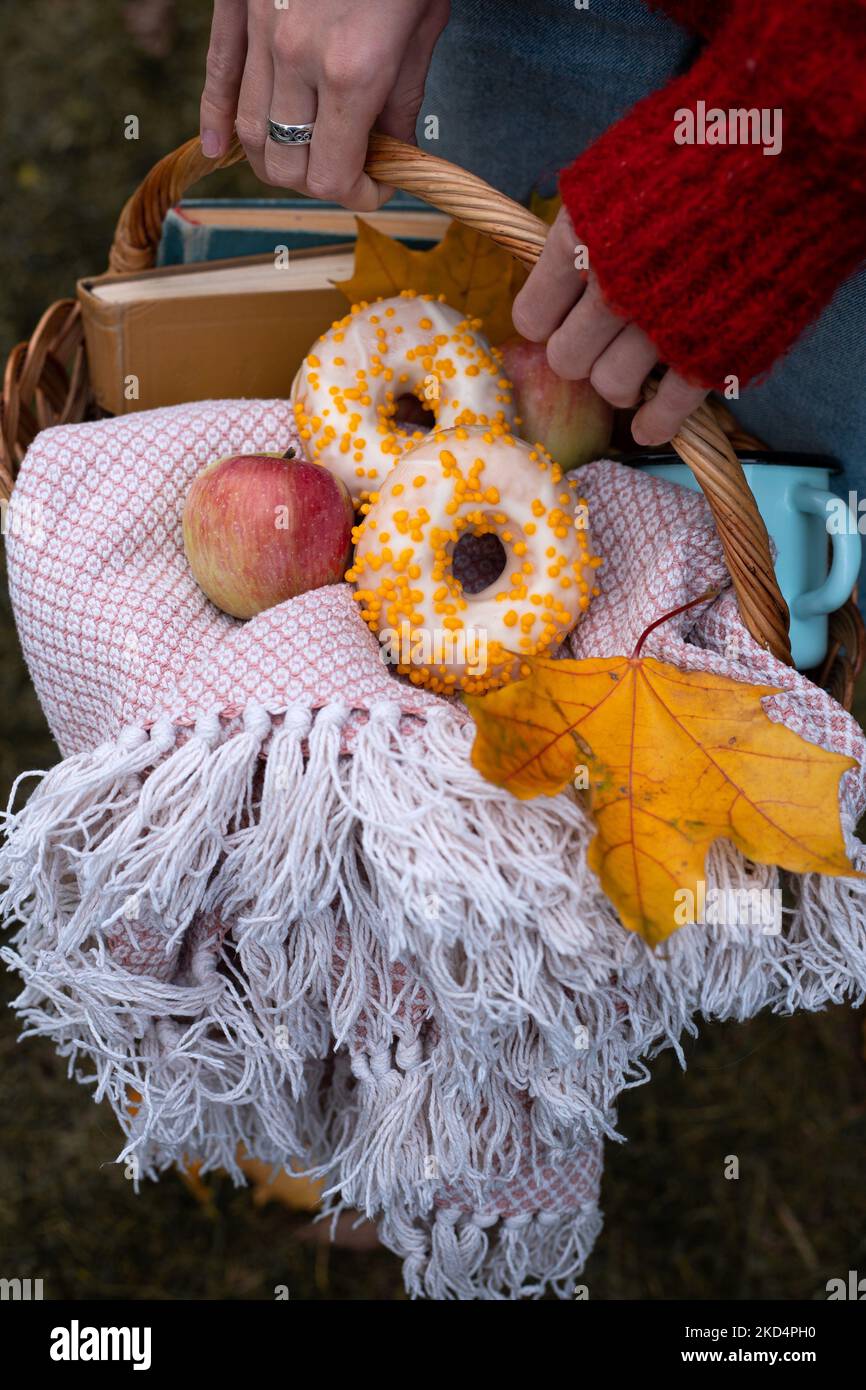 girl holds a picnic basket with plaid, apple, donuts, book. urban ...