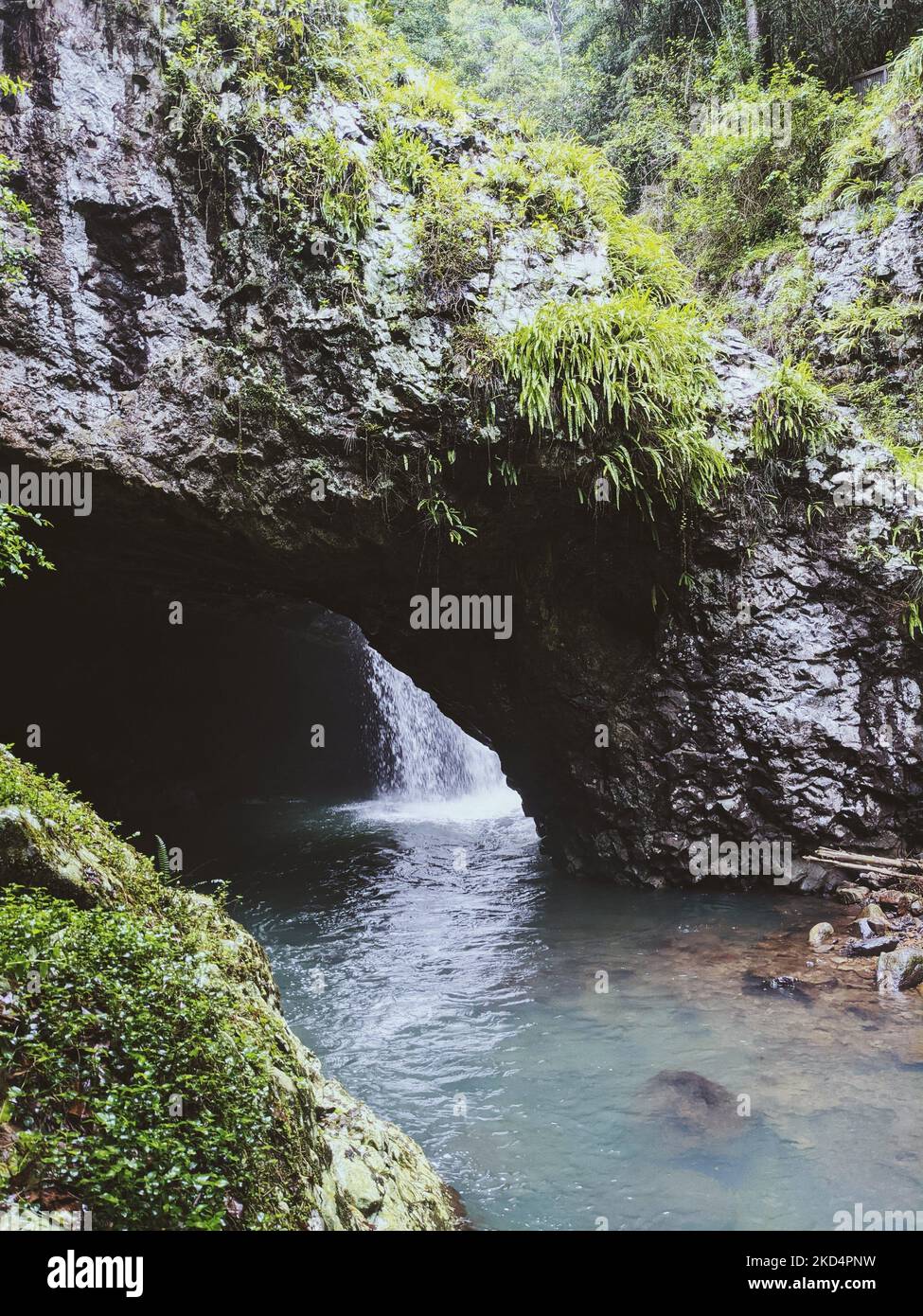 Scenic natural bridge in Springbrook National Park, Queensland ...