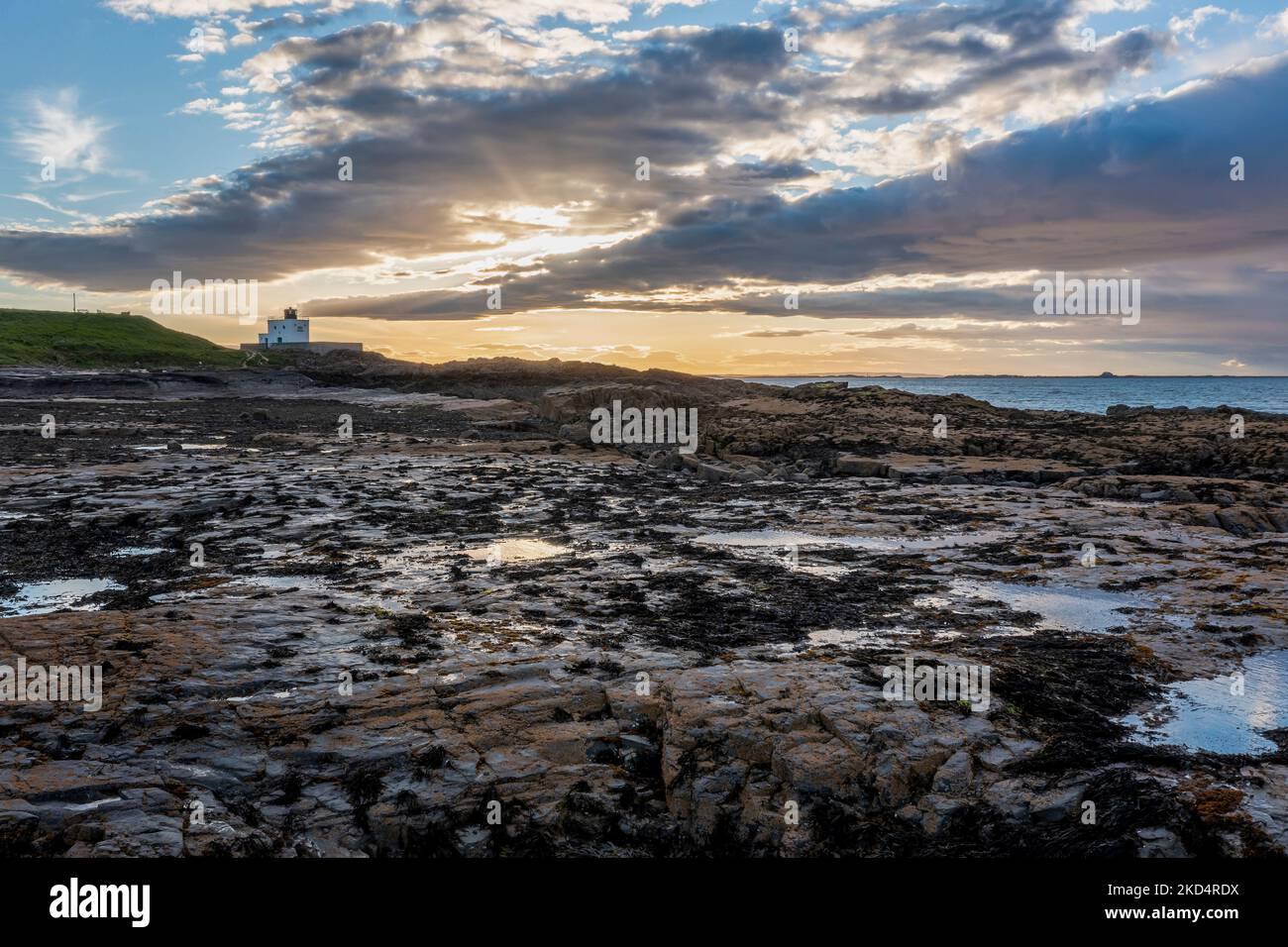 Bamburgh lighthouse from Harkness Rocks at sunset Stock Photo - Alamy