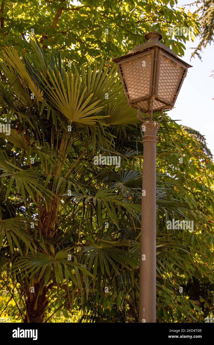 Lamppost turned off and dirty in the middle of the trees of a forest ...