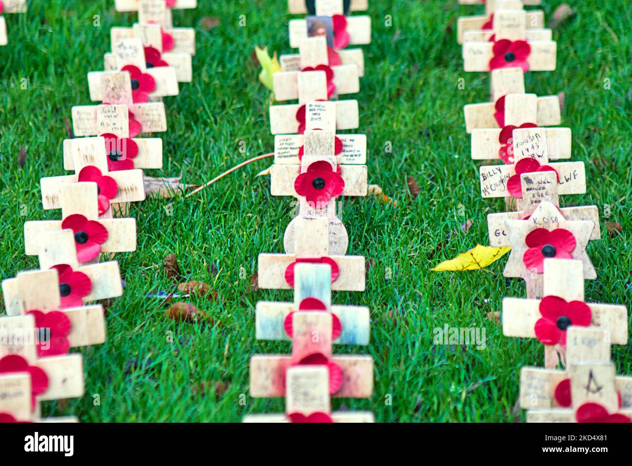 Glasgow, Scotland, UK 5th November, 2022. Poppy Scotland on the style ...