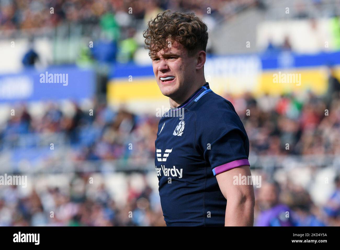 Darcy graham hi-res stock photography and images - Alamy