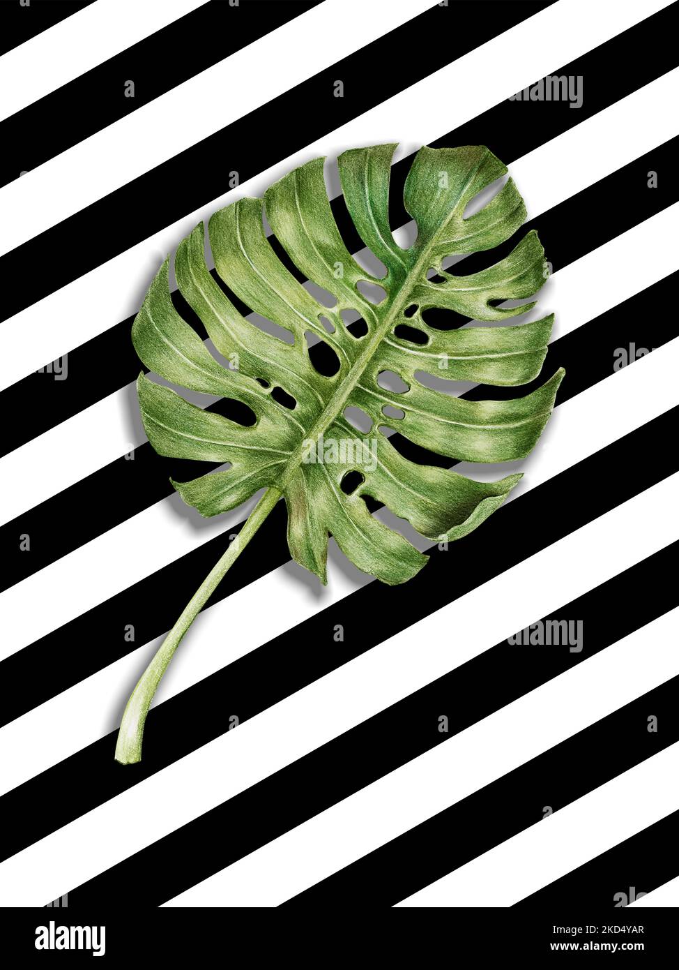 beautiful colorful botanical floral art, nature leaves and flowers ...