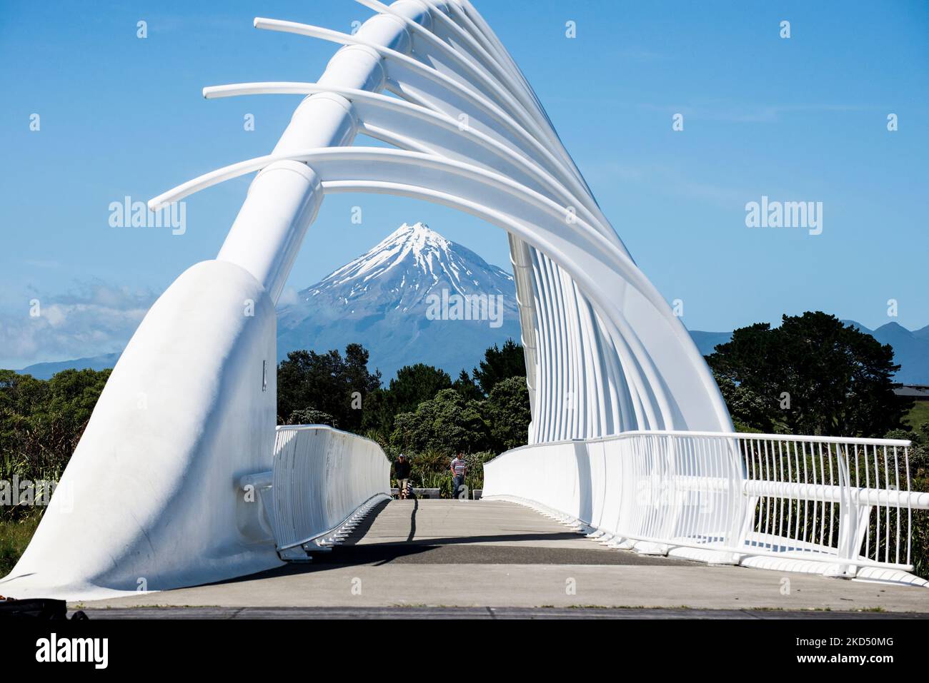 the beautiful sculptured lines of the Te Rewa Rewa bridge on the new ...