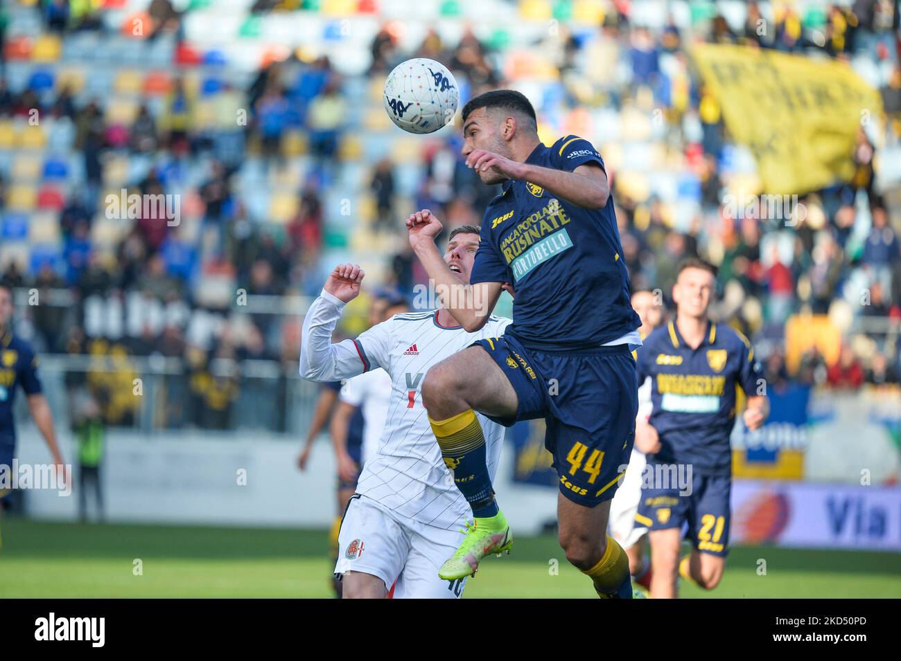 Adrian barisic hi-res stock photography and images - Alamy